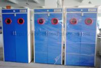 China Alkali Resistant Flammable Gas Storage Cabinet Practical Multipurpose for sale