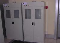 China Full Steel Laboratory Storage Cabinets , Blue Gas Cylinder Safety Cabinets for sale