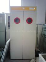 China Lightweight Steel Gas Cylinder Cabinets , laboratory Compressed Gas Storage Cabinet for sale