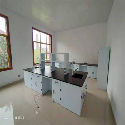 China Customizable  Pp  Chemistry Lab Furniture Manufacturers For Hospital & School for sale