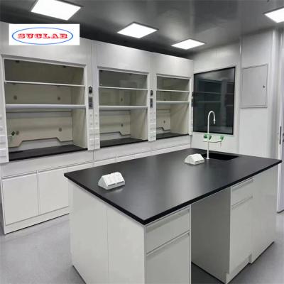 China Blue Chemistry Lab Bench with 2 Cupboards and 2 Holes for Laboratory Experiments for sale