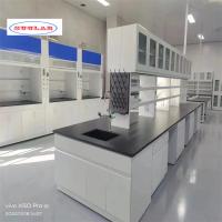 China Chemistry Lab Bench As Drawing Number of Holes and Hooks for Efficient Lab Management for sale