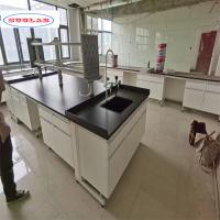 China As Drawing Number of Shelves Number of Doors Chemistry Lab Bench for sale