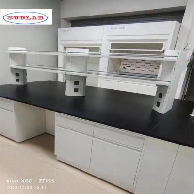 China Standard Blue Number of Rails Chemistry Lab Bench  Laboratory Worktable Manufacturer  for Accurate Experiments for sale