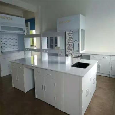 China Durable Chemistry Lab Furniture Customizable and Long Lasting for sale