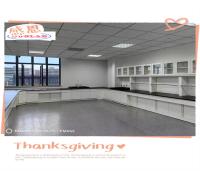 China Modular Chemistry Lab Furniture For Laboratories Export Plywood Package for sale