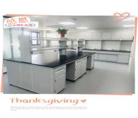 China Modern Chemistry Lab Furniture Export Plywood Packaging For Reliable Transportation for sale