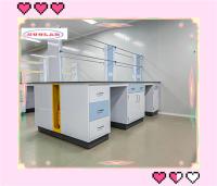China High Chemical Resistance and High Environmental Friendliness Chemistry Lab Bench Laboratory Workstation for sale