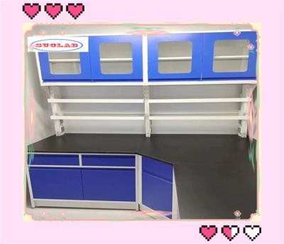 China Durable Chmiestry Lab Bench  Lab Caseworks with PP Drawer for Educational Institutions for sale