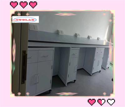 China Functional Chemistry Lab Bench Lab Workbenches with Stainless Steel Cabinet and Phenolic/Epoxy Resin Top for sale