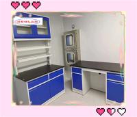 China Functional Chemistry Lab Bench Lab Workbenches with Stainless Steel Cabinet and Phenolic/Epoxy Resin Top for sale