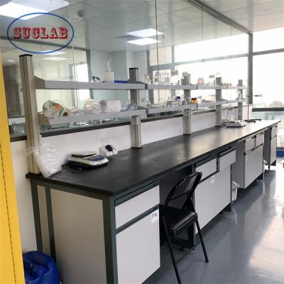 China Acceptable OEM/ODM Chemistry Lab Furniture Lab Wall Benches with Integrated Structure for sale