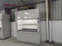 China Customized Laboratory Fume Hood Lab Fume Hoods Anti-static Safety System 220V/50Hz for sale