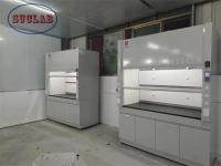 China Customized Laboratory Fume Hood Lab Fume Hoods Anti-static Safety System 220V/50Hz for sale