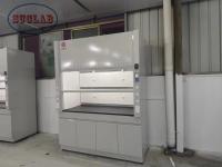 China Explosion-proof Laboratory Fume Hood Ducted Fume Hoods with Safety System - 1 Year for sale