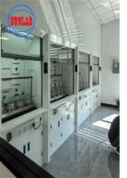 China Lab Pp Chemical Fume Hood with 220V Voltage - 400m3/h Airflow for sale