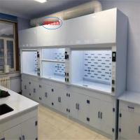China High-Performance Chemical Fume Hood Lab PP Fume Hood 400m3/h Airflow for sale