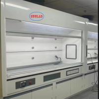 China Wall Mounted Chemical Fume Hood Lab Ventilation Hood with 400m3/h Airflow - 1 Year for sale