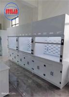 China Microcomputer Control System for White Chemical Fume Hood Laboratoy Acid Digestion Fume Hoods- Improved Work Environment for sale