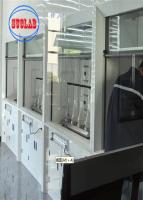 China White Shade Chemical Fume Hood Lab Hydrofluoric Acid Fume Hoods with Microcomputer Control System for sale