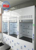 China LED Lighting Chemical Fume Hood Lab Fume Hood With Sink  - for B2B Requirements for sale