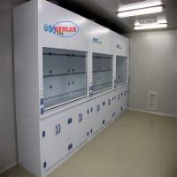 China Installation Type Wall Mounted Chemical Fume Hood PP Fume Cupboard with Scrubber Customization for sale