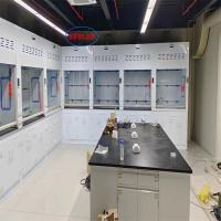 China Microcomputer Controlled Wall Mounted Chemical Fume Hood Laboratory Fume Hoods With Scrubber for Efficiency for sale