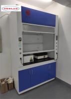 China Customized Fume Hoods Fume Hood in Laboratory Efficient Ventilation with Activated Carbon Filter for sale