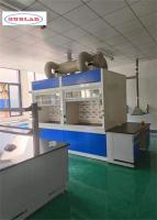 China Customized Fume Hoods Fume Hood in Laboratory Efficient Ventilation with Activated Carbon Filter for sale
