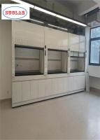 China 100m3/h Airflow Laboratory Fume Hood with Activated Carbon Filter System for sale