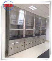 China Voltage 220V/110V Laboratory Exhaust Hood Lab Range Hood with High Safety Level for sale