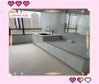 China Customized Made Chemical Lab Workbenches With Wooden Base Cabinet Epoxy Resin Sink for sale