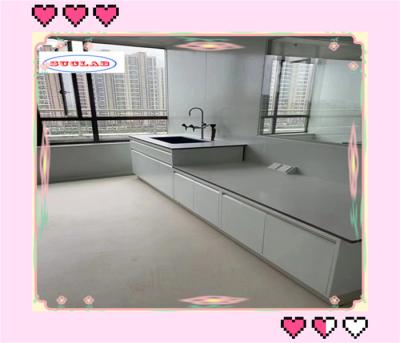 China Customized Made Chemical Lab Workbenches With Wooden Base Cabinet Epoxy Resin Sink for sale