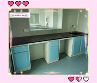 China OEM Chemistry Lab Bench Laboratory Workbenches With Insertion Aluminum Alloy Handle Steel Structure for sale