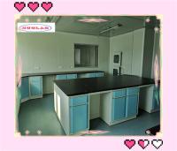 China OEM Chemistry Lab Bench Laboratory Workbenches With Insertion Aluminum Alloy Handle Steel Structure for sale