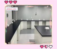 China Free Standing Lab Benches Durable Reagent Racks With Adjustable Glass Shelf For Scientific Research for sale