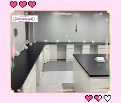 China Free Standing Lab Benches Durable Reagent Racks With Adjustable Glass Shelf For Scientific Research for sale