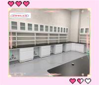 China Free Standing Lab Benches Durable Reagent Racks With Adjustable Glass Shelf For Scientific Research for sale