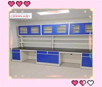 China Customizable Lab Caseworks with DTC 105° Buffer Hinge Solution for sale
