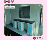 China PP Sink Chemistry Lab Bench Material with OEM Server Type and Coating Faucet for sale