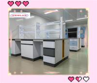 China Multi Functional Chemistry Lab Bench Modular Lab Furnitures  With Safeguard Cover for sale