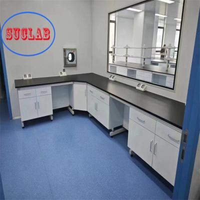 China High Safety Chemistry Lab Workbench Laboratory Benches With Functional Drawers for sale