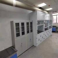 China Customized Made Wall Mounted Chemical Fume Hood With Scrubber Systems for sale