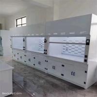 China Custom Research Lab Fume Hood With Scrubber Tank For School for sale