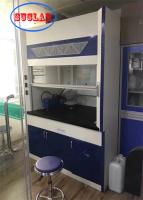 China Modern Laboratory Fume Cupboard With LED Lighting And Gas Tap for sale