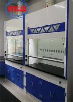 China Durable Laboratory Fume Cupboard With Over Current Protection for sale