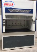 China Cutomized Made Wall Mounted Fume Cupboards With Noise Level ≤60dB for sale
