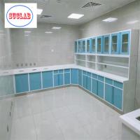 China 5 Years Warrant Hospital Clinic Furniture Disposal Cabinets Price Wall Mounted Full Steel for sale