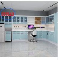 China Adjustable Shelves Medical Cabinet Hospital Furniture Customizable Features for sale