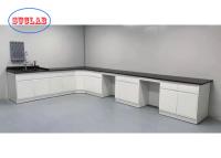 China White Laboratory Instrument Table With Black Phenolic Resin Countertop In Chemistry Lab for sale